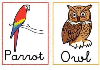 Flashcards aves | PPT