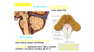 Flash_cards_de_Neuroanatomia.pdf