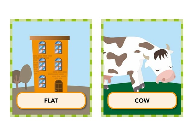 Flashcards final.pdf