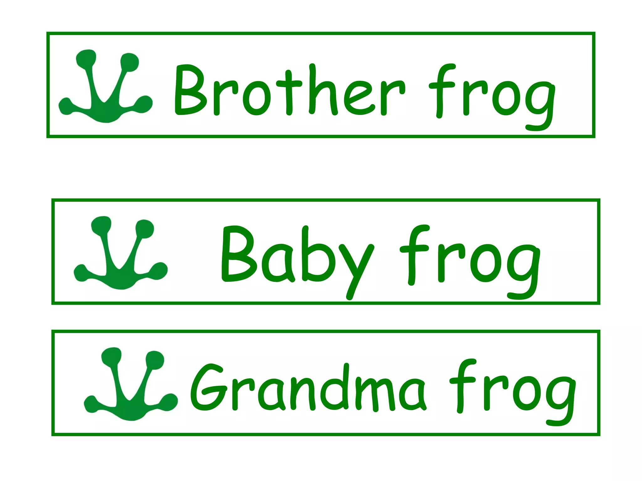 Flashcards frog | PPT