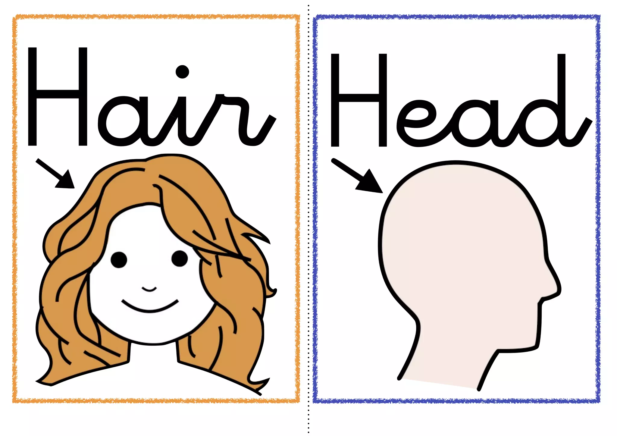 Flashcards Partes del Cuerpo[1] | PDF