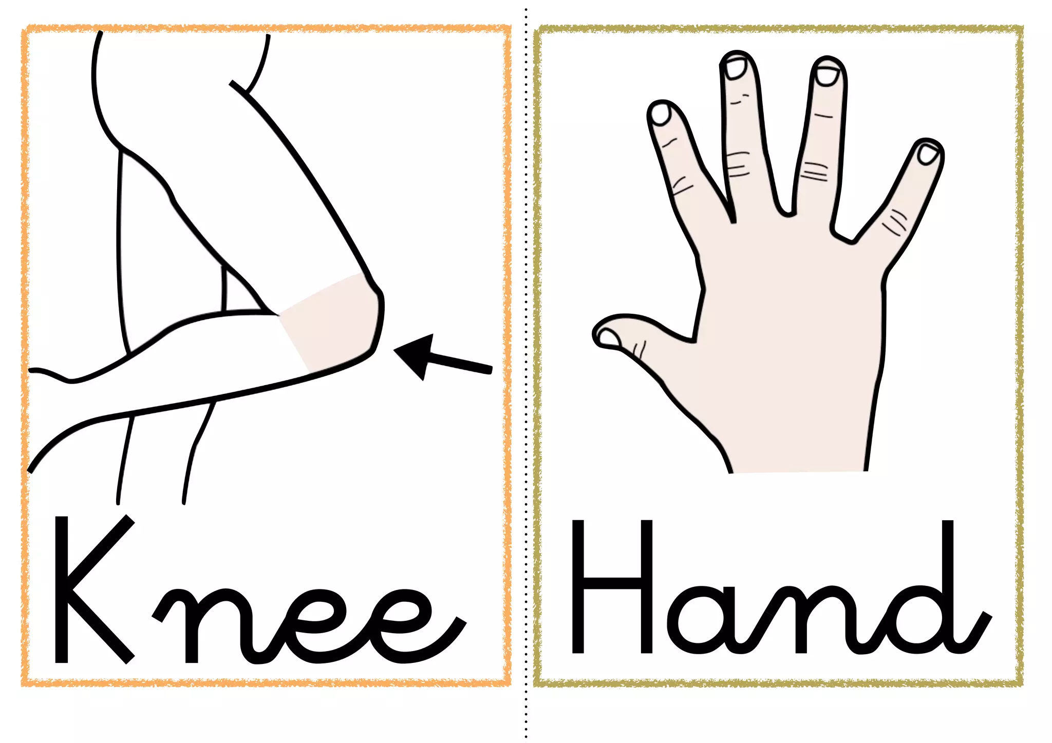 Flashcards Partes del Cuerpo[1] | PDF