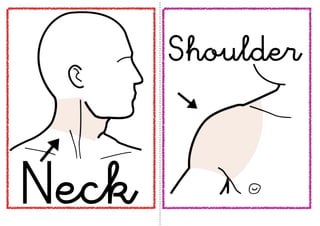 Flashcards Partes del Cuerpo[1] | PDF