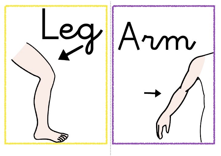 Flashcards Partes del Cuerpo[1]