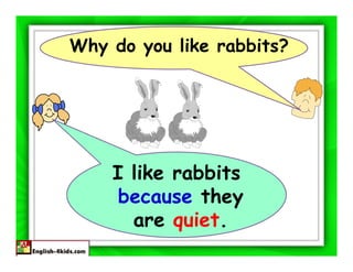 Flashcardspets | PDF