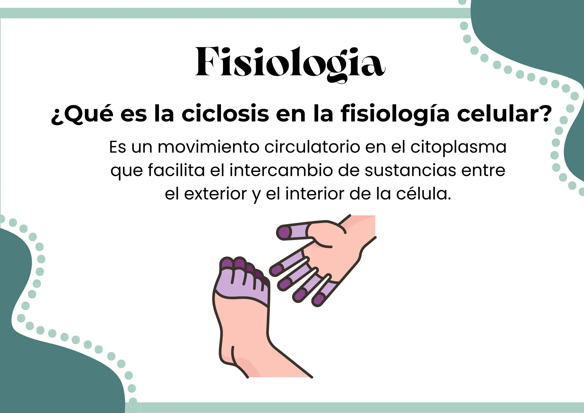 Flashcards fisiología para estudio universitario | PDF
