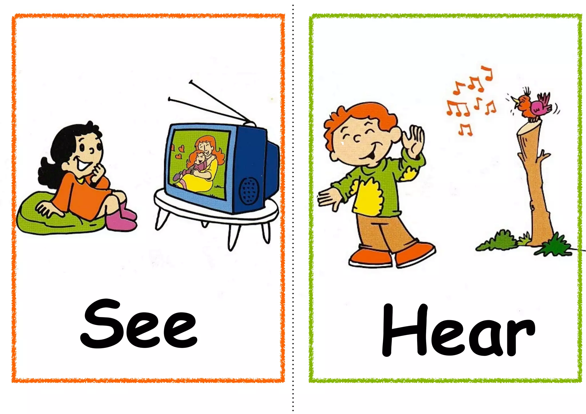 Flashcards Los sentidos | PDF