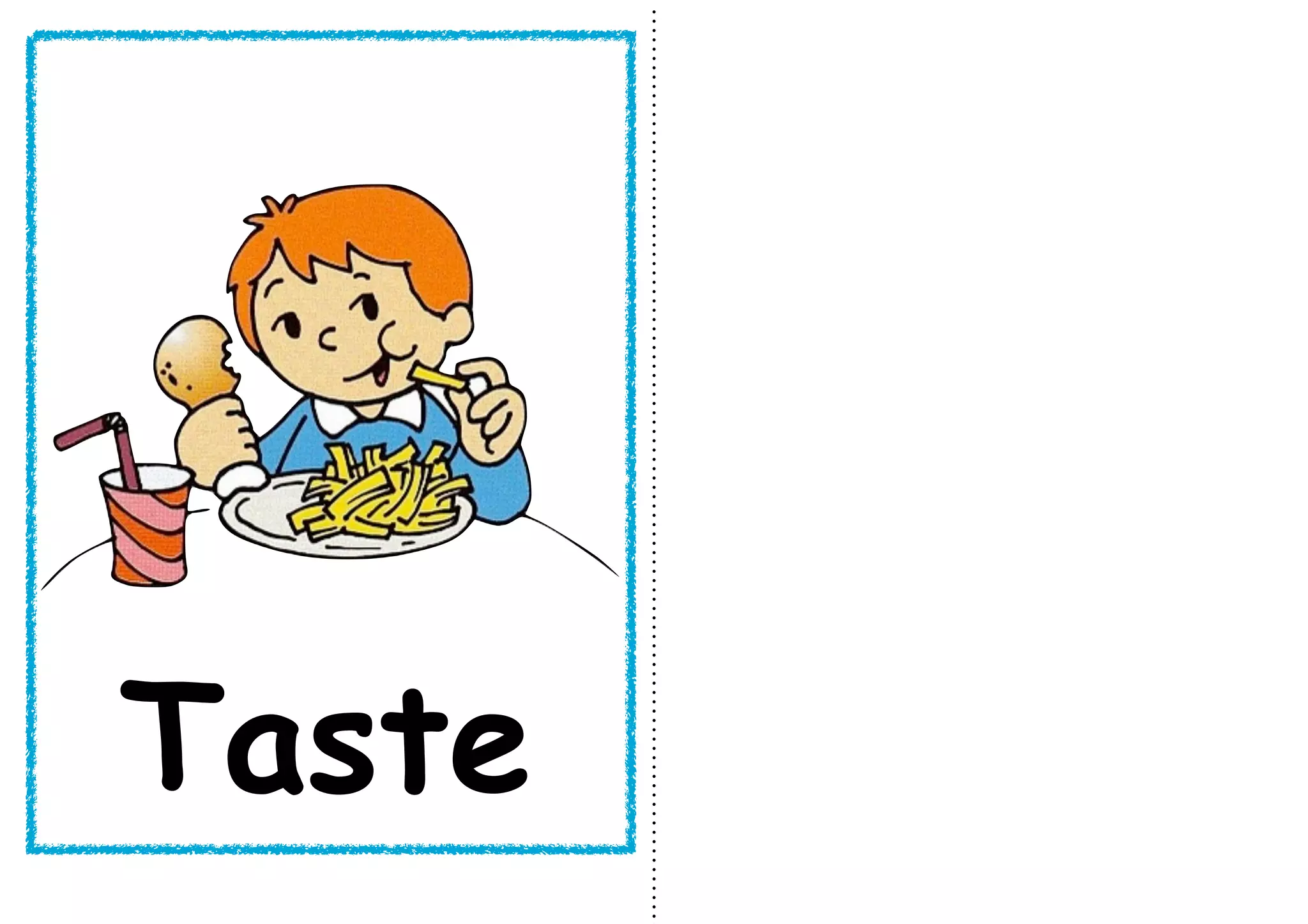 Flashcards Los sentidos | PDF