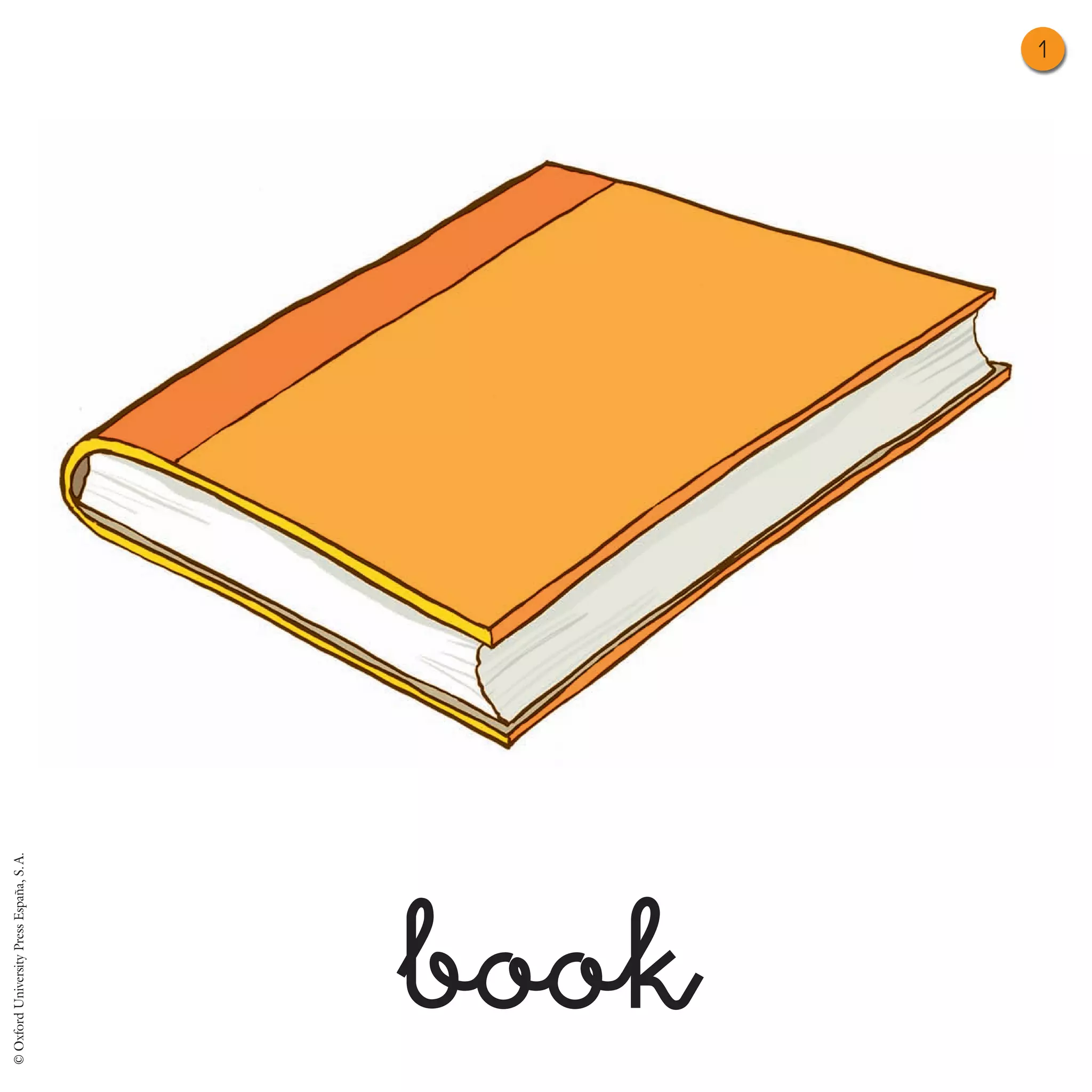 Flashcards unit 10 | PDF