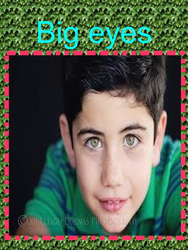 Flashcards unit 1 | PDF