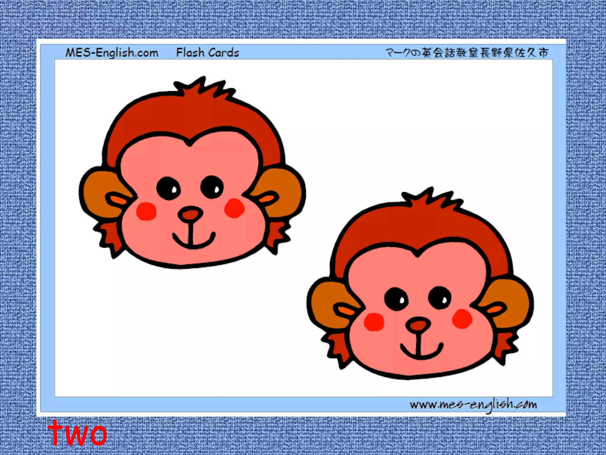 Flashcards wiki | PPT