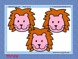 Flashcards wiki | PPT