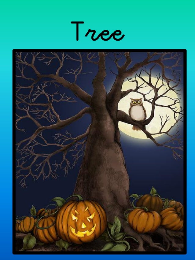 Flashcards wiz wiz wizard | PDF