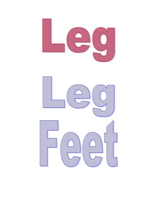 Flashcards&wordcards parts of the body and joints | PDF