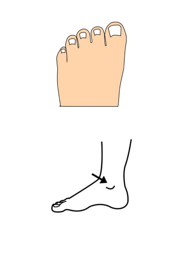 Flashcards&wordcards parts of the body and joints | DOC