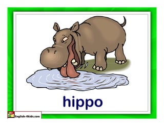 Flashcards zoo animals | PDF