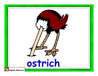 Flashcards zoo animals | PPT