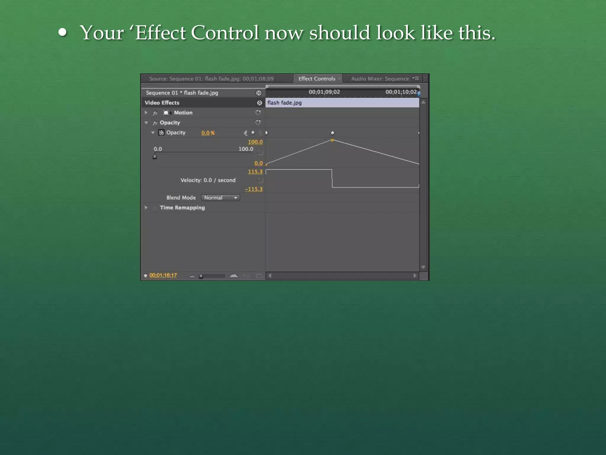 Flash Fade How To Make One PPT flash-fade-how-to-make-one-ppt
