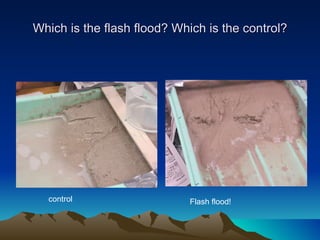 Flash flood! | PPT