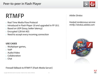 Tom Krcha - Future of Flash | PDF