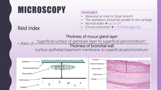 FlashPath - Lung - Chronic Bronchitis | PPTX