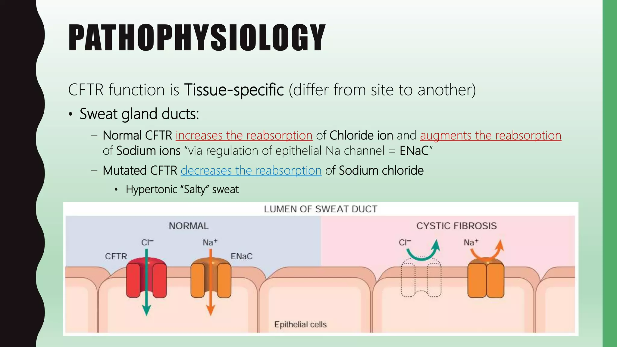 FlashPath - Cystic Fibrosis | PPTX