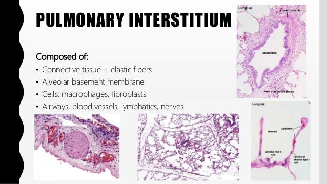 FlashPath - Lung - Histology