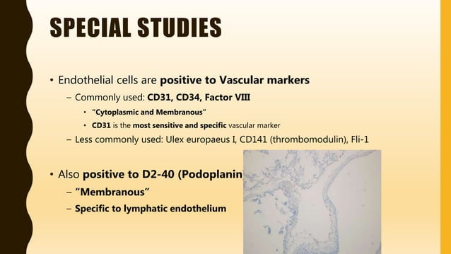 FlashPath - Lung - Pulmonary Lymphangiectasis | PPTX | Lung and ...