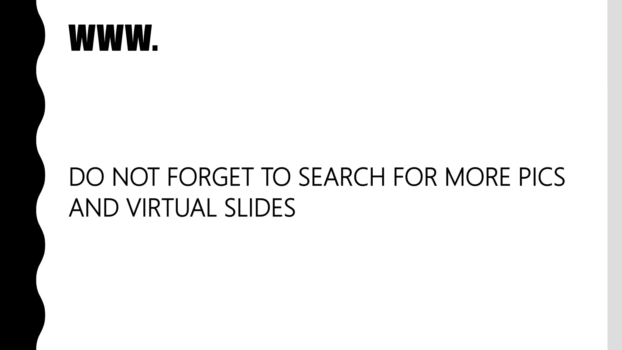 FlashPath - Placenta - Anatomy | PPTX