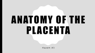 FlashPath - Placenta - Anatomy | PPTX