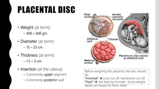 FlashPath - Placenta - Anatomy | PPTX