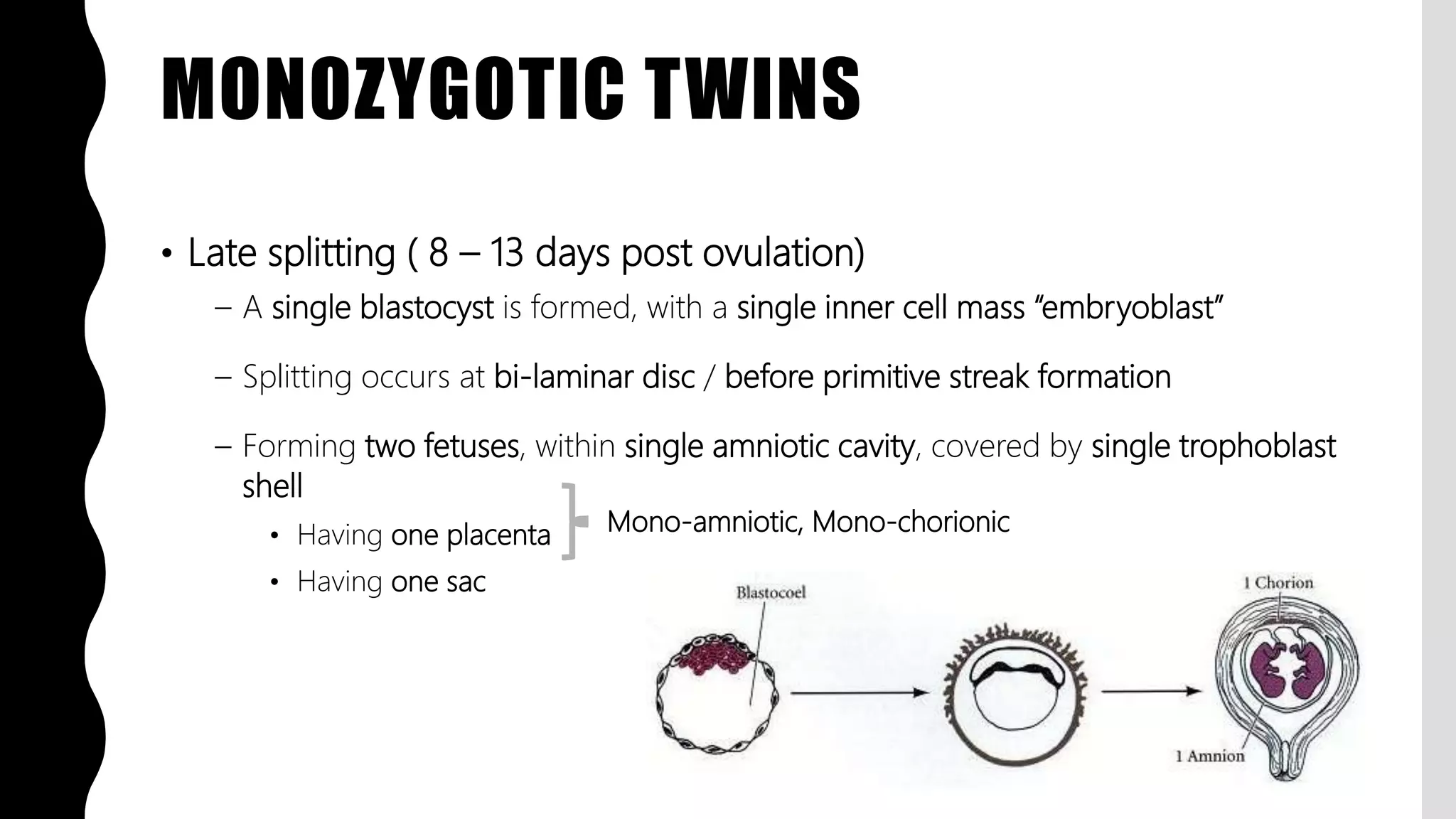 FlashPath - Placenta - Grossing | PPTX
