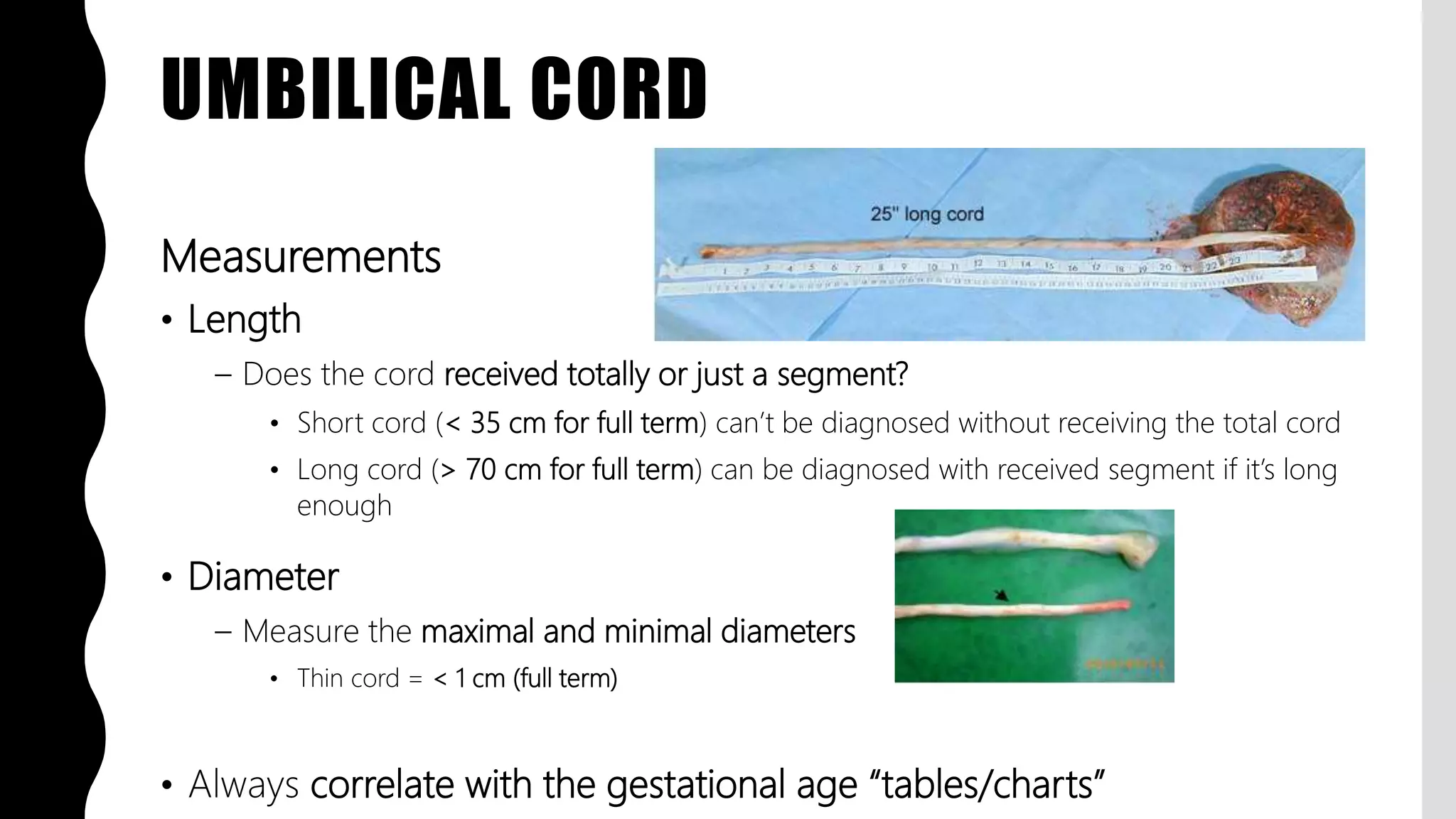 FlashPath - Placenta - Grossing | PPTX