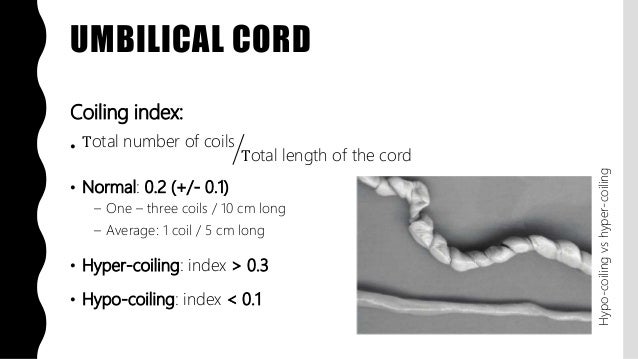 FlashPath - Placenta - Grossing