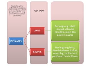 Flash patologi inflamasi | PPS