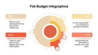 flat-budget-infographics.pptx
