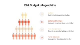 flat-budget-infographics.pptx