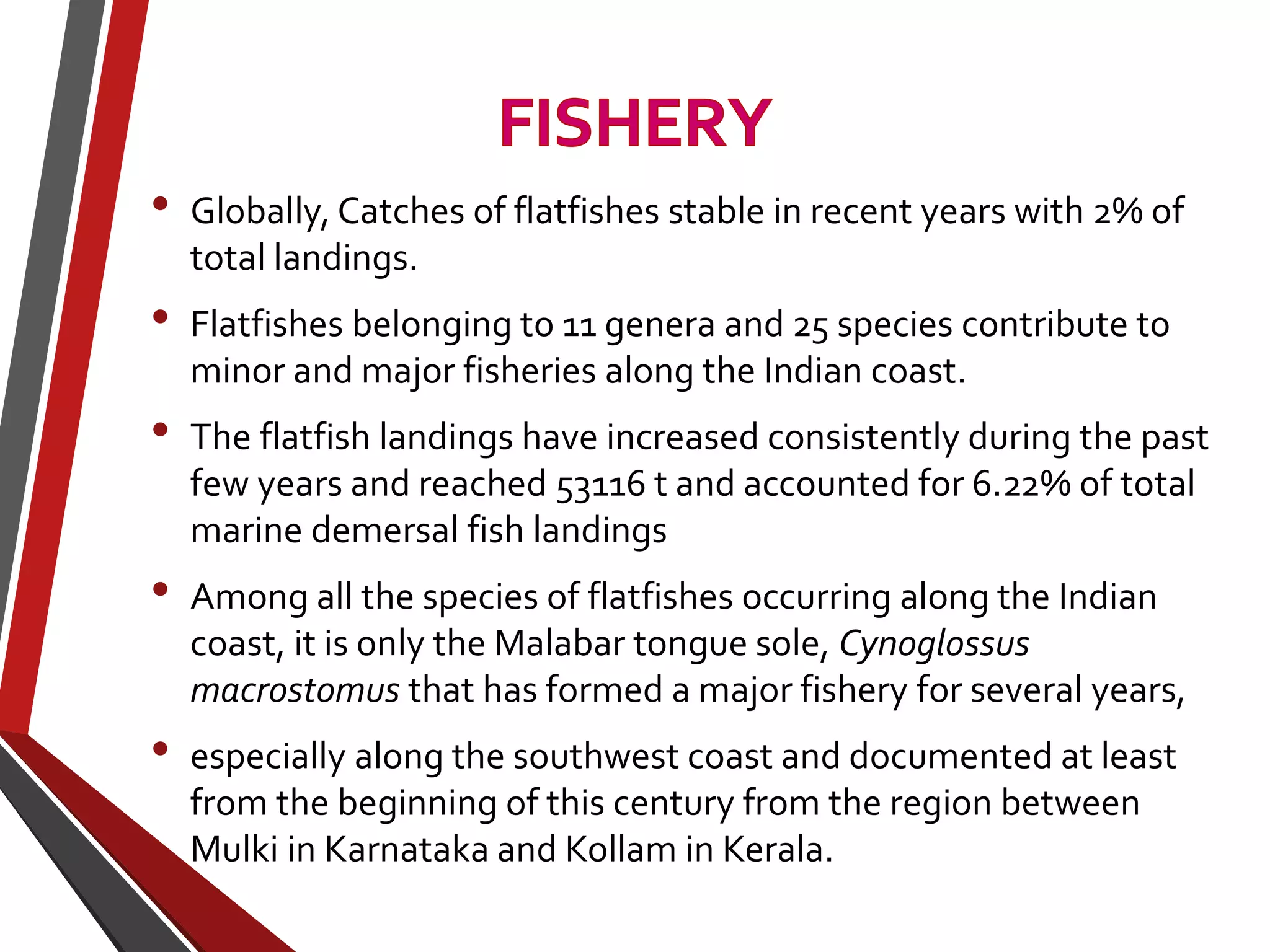Flat fishes and their fisheries | PDF