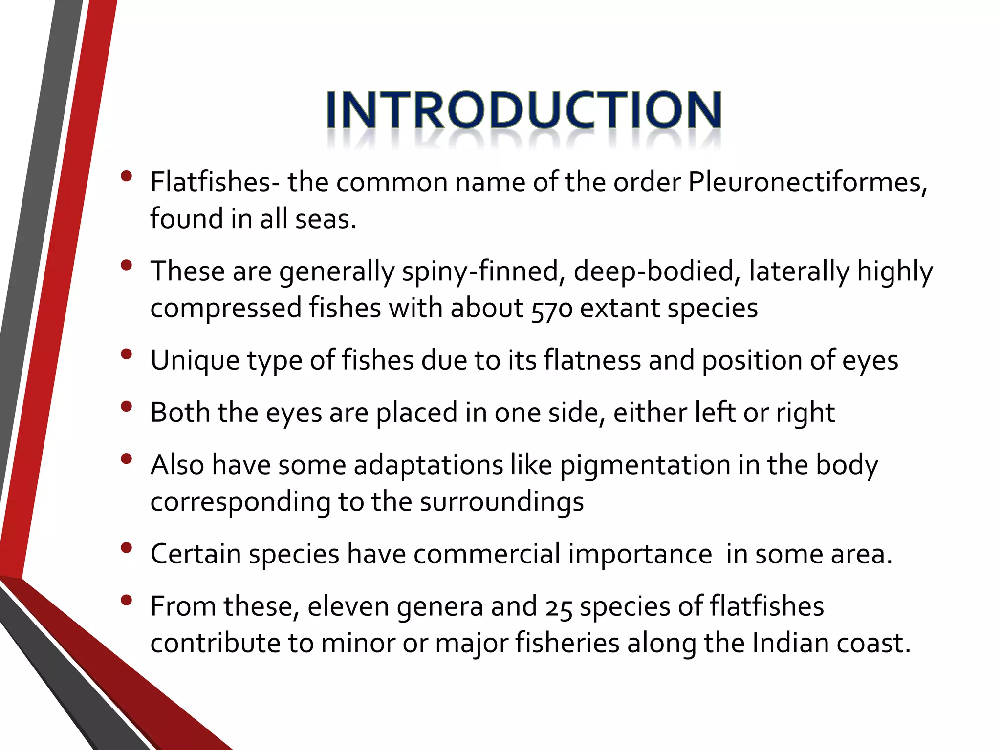 Flat fishes and their fisheries | PDF