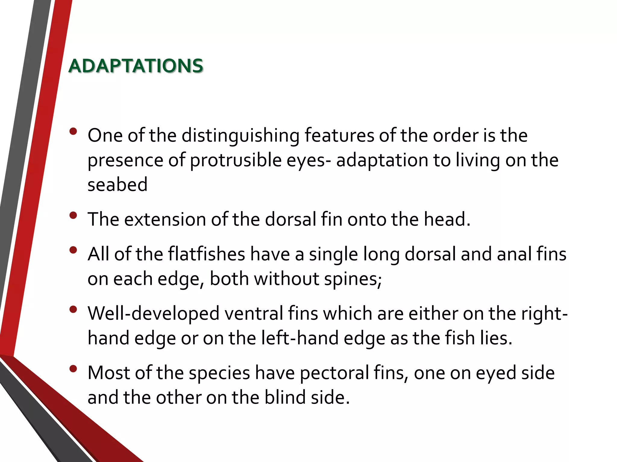 Flat fishes and their fisheries | PDF