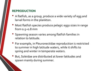 Flat fishes and their fisheries | PDF