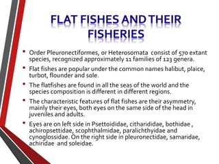 Flat fishes and their fisheries | PPT