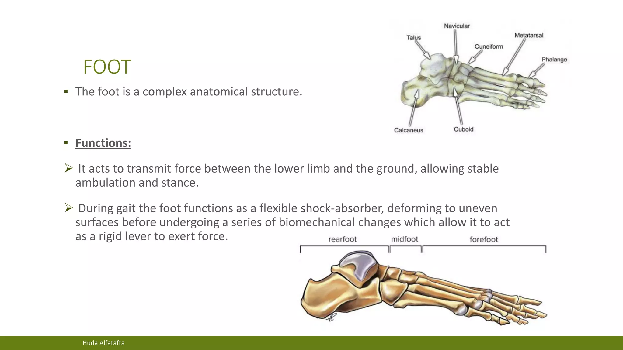 clinical examination of flat foot | PDF