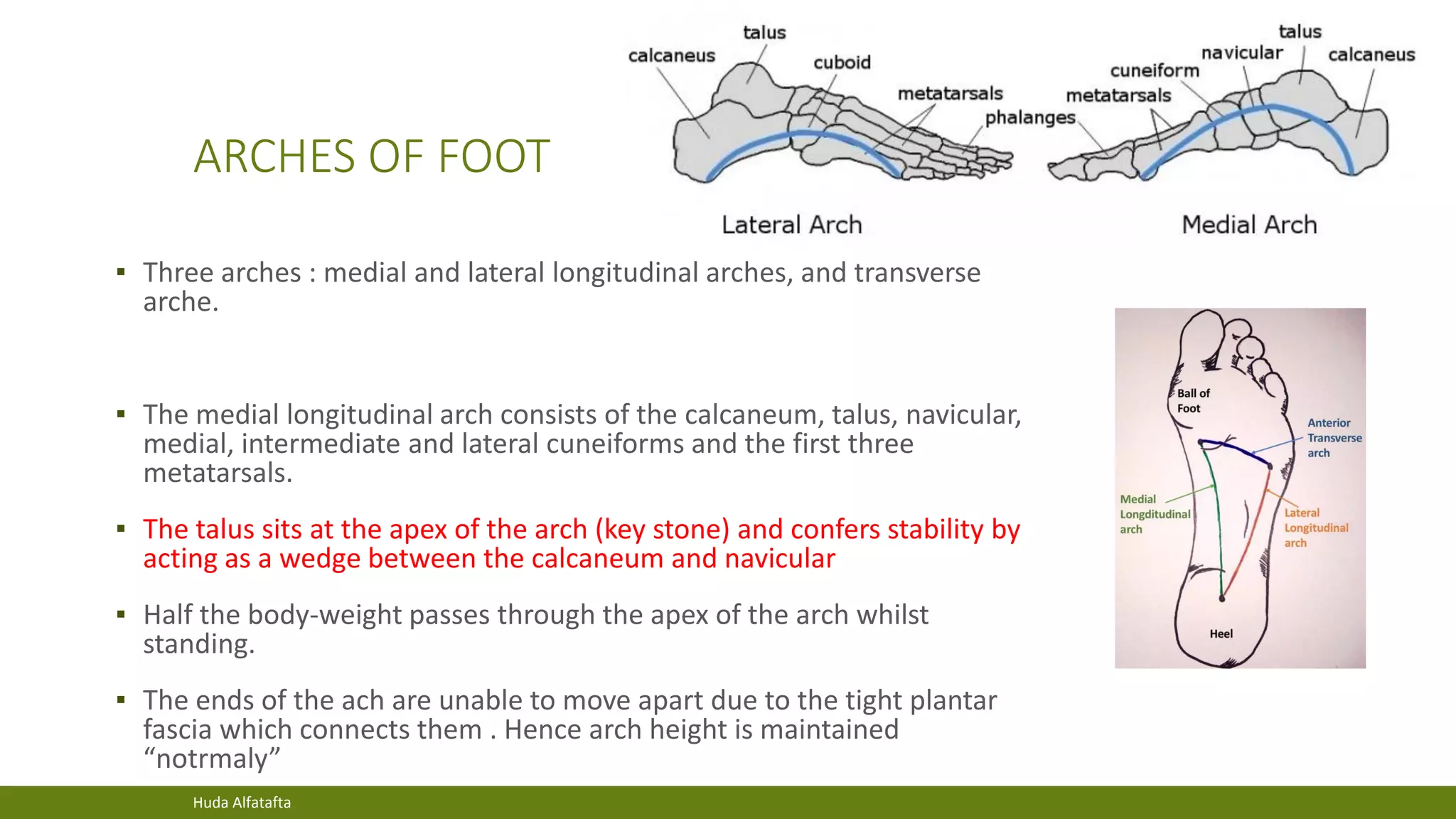 clinical examination of flat foot | PDF