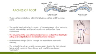 clinical examination of flat foot | PDF