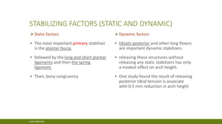 clinical examination of flat foot | PDF