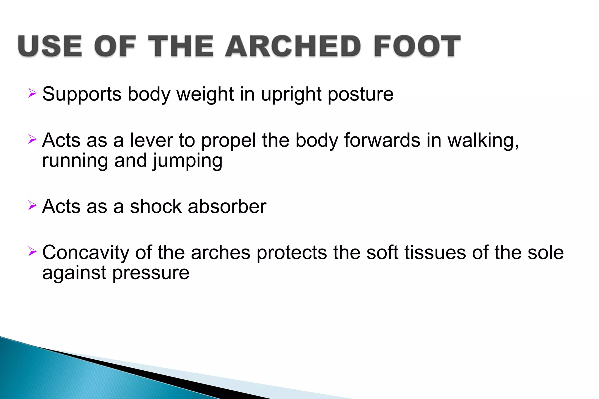 Flat foot | PPT