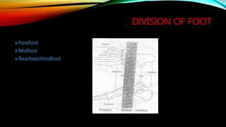 Flat foot By Dr.Mahbub | PPTX