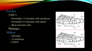 Flat foot By Dr.Mahbub | PPTX