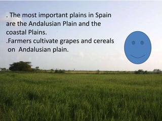 Flat landscapes 3 b | PPT